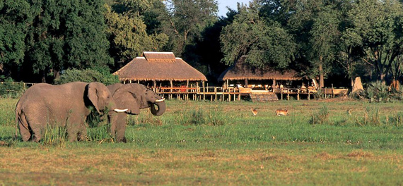 Mombo Camp | Chief's Island, Okavango Delta