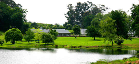 Fordoun Hotel and Spa | South Africa